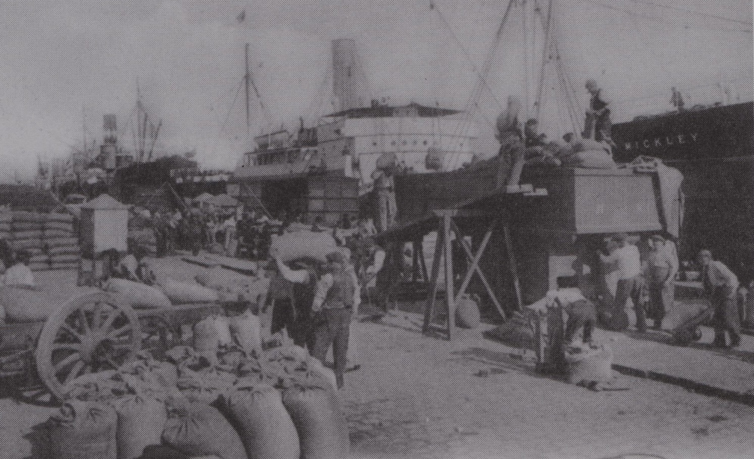 DOCKERS : Le métier d'hier et d'aujourd'hui - Ecole Pauline Kergomard ...